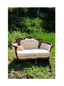 Chairs Archives - Anar Party Rentals